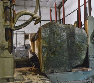 The Beauty of Singapore Suar Wood | Suar Wood Table Singapore